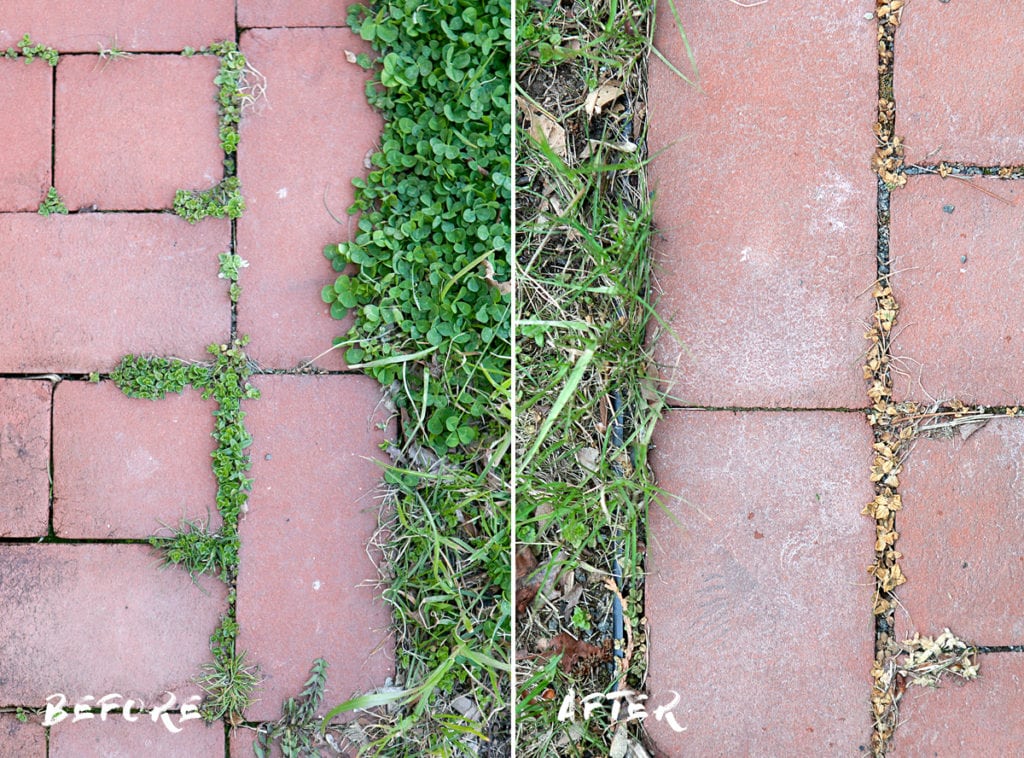 Brick Walkways: How to Kill Weeds Naturally » Jessica Brigham
