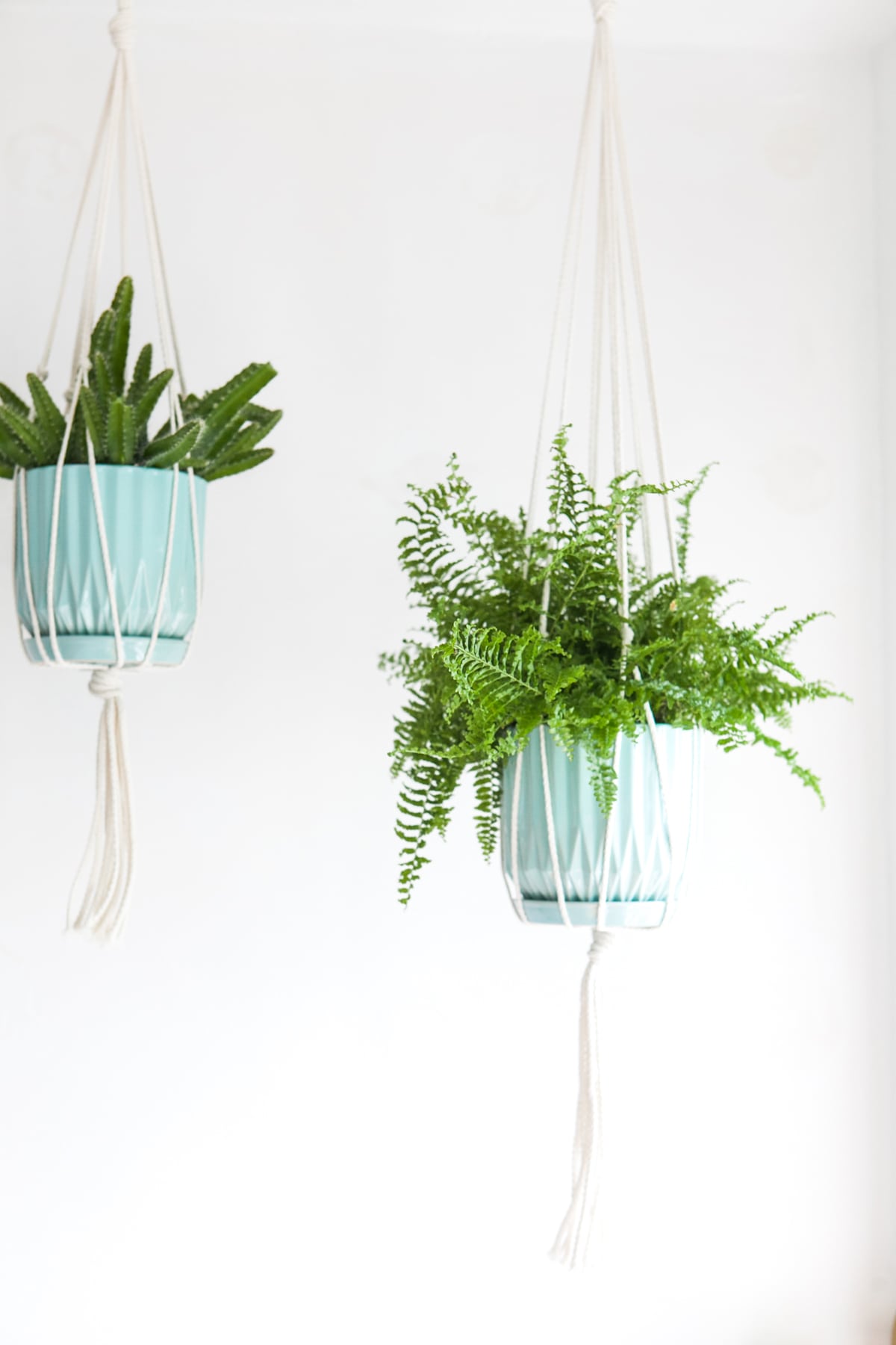 Yes You Can! How to Install a Ceiling Fan + Video! » Jessica Brigham