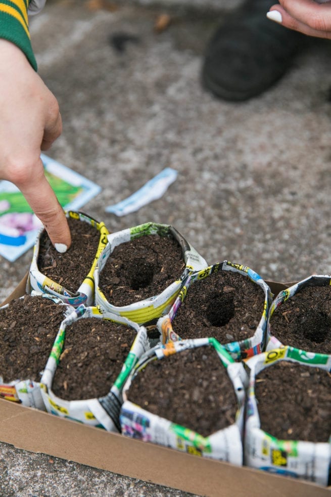 DIY Paper Pots for Garden Seedlings » Jessica Brigham