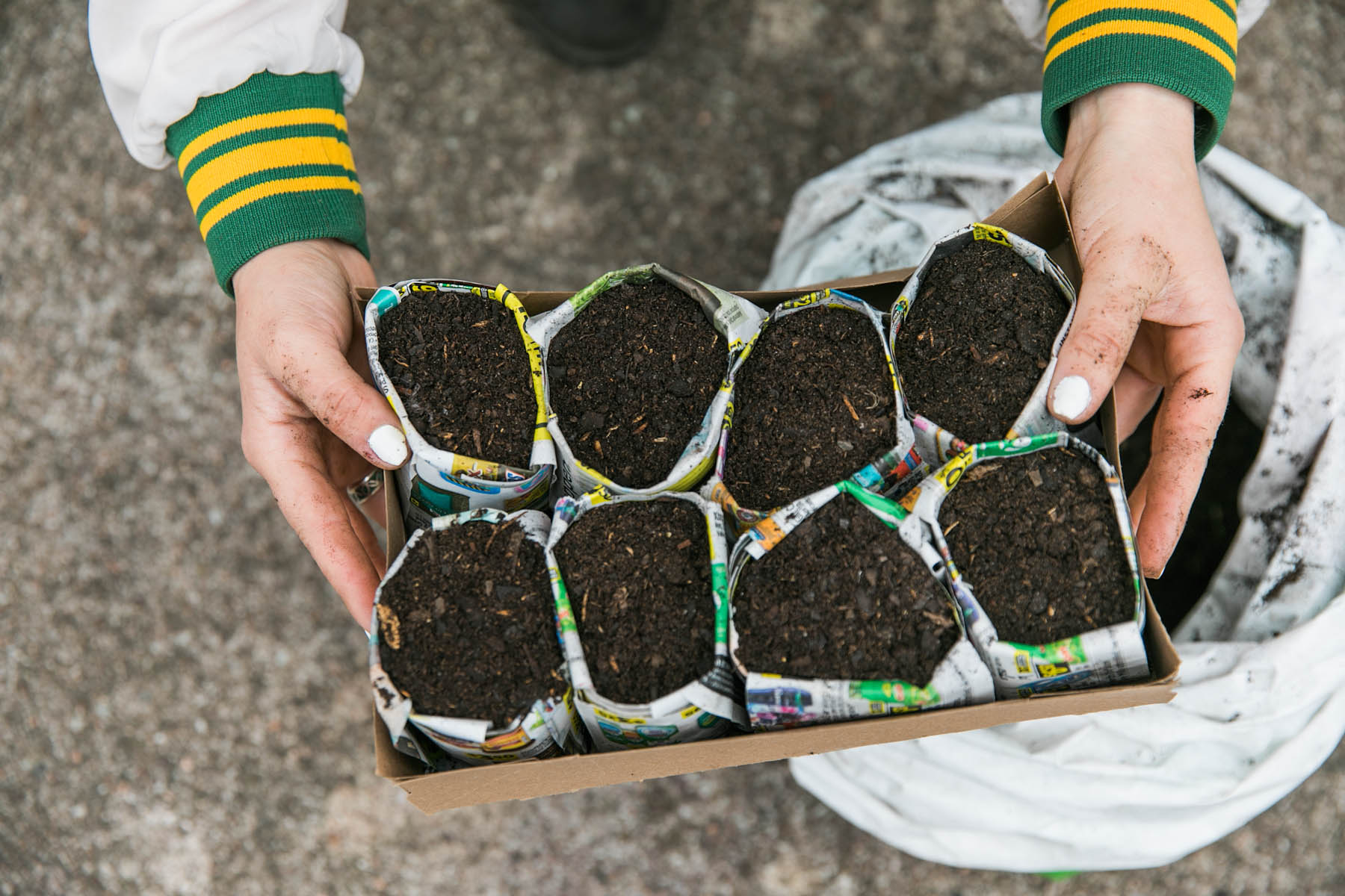 DIY Paper Pots for Garden Seedlings » Jessica Brigham